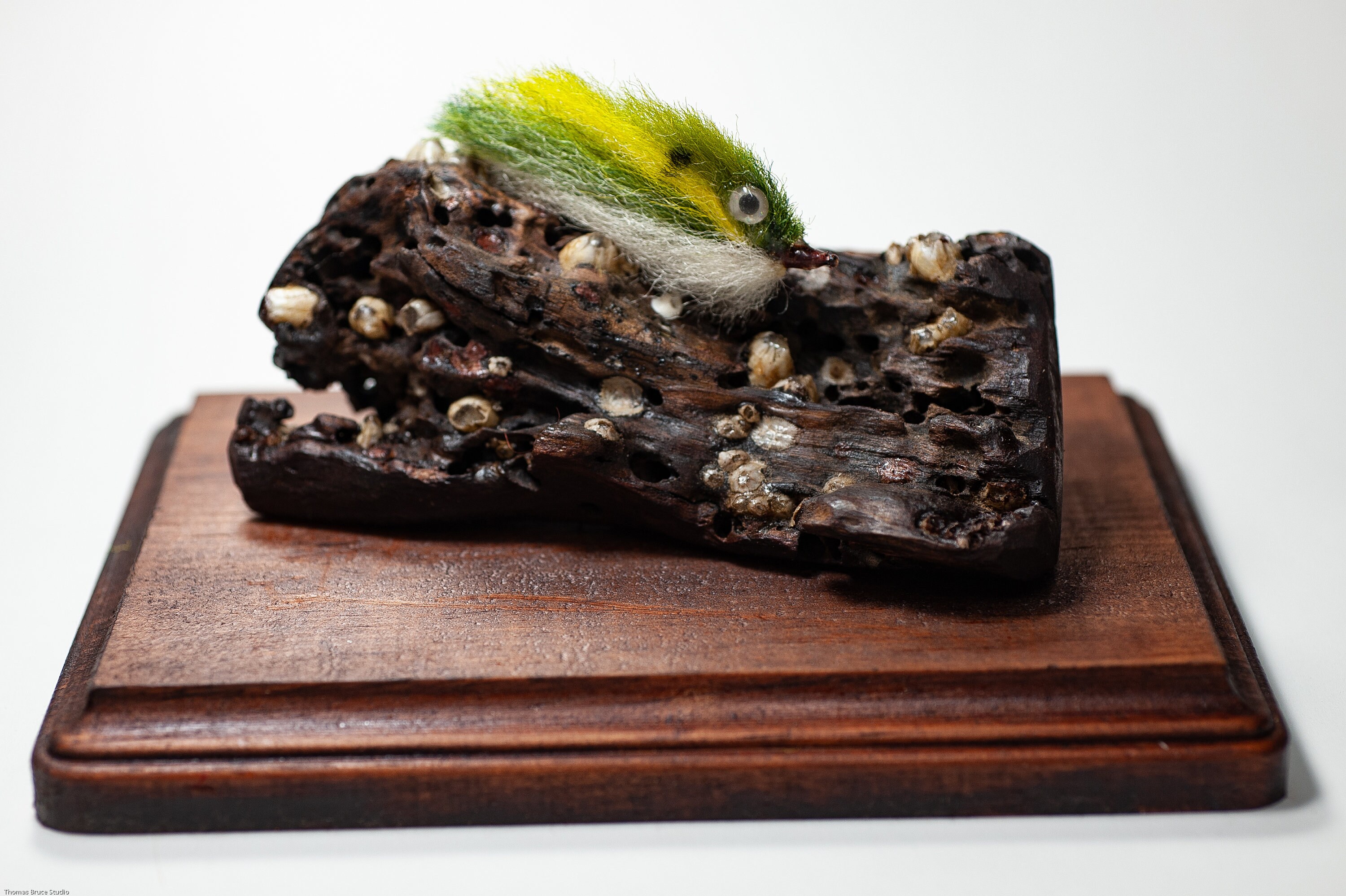 2GIF_3012 Upcycled Driftwood Fly Display Handmade Hand Tyed Fly,fishing ...