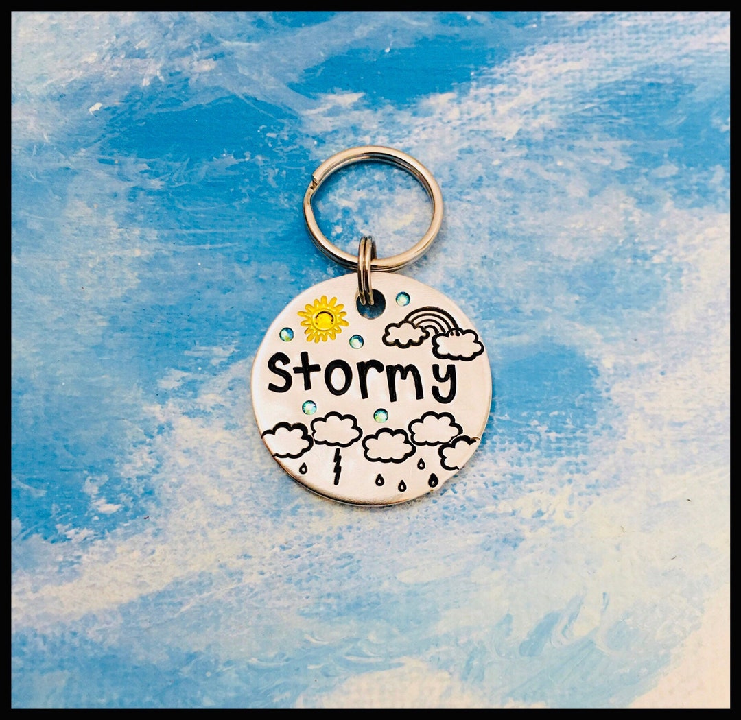 Stormy Pet ID Tag, Stormy Dog Tag, Stormy Cat Tag, Adventure Dog Tag ...