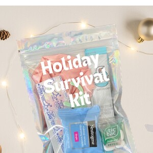 Holiday Survival Kit, Holiday Hangover Kit, Christmas Emergency Bag ...