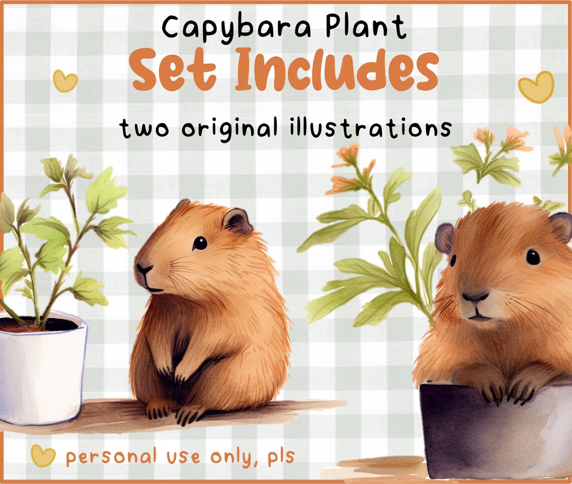 Capybara Plant Theme Desktop Organizer Set 6 Wallpapers & 27 Icons Cozy ...