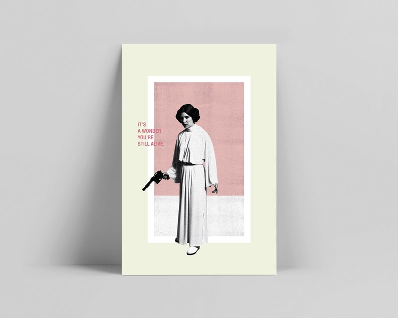 Star Wars: Han and Leia Minimalist Poster Han and Leia | Etsy