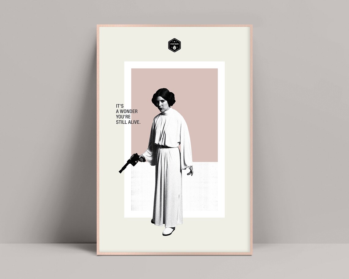 Star Wars: Han and Leia Minimalist Poster Han and Leia - Etsy