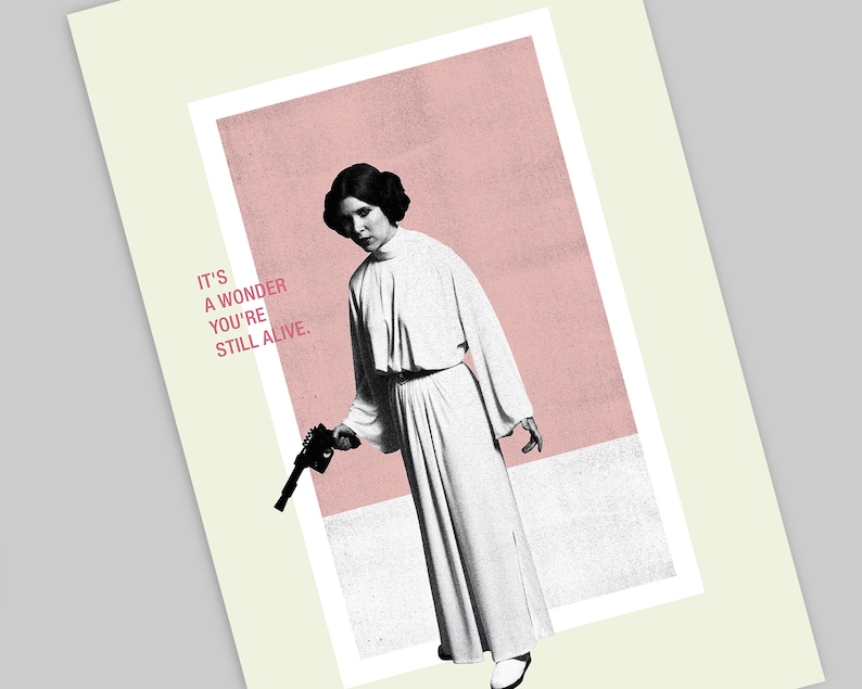 Star Wars: Han and Leia Minimalist Poster Han and Leia | Etsy