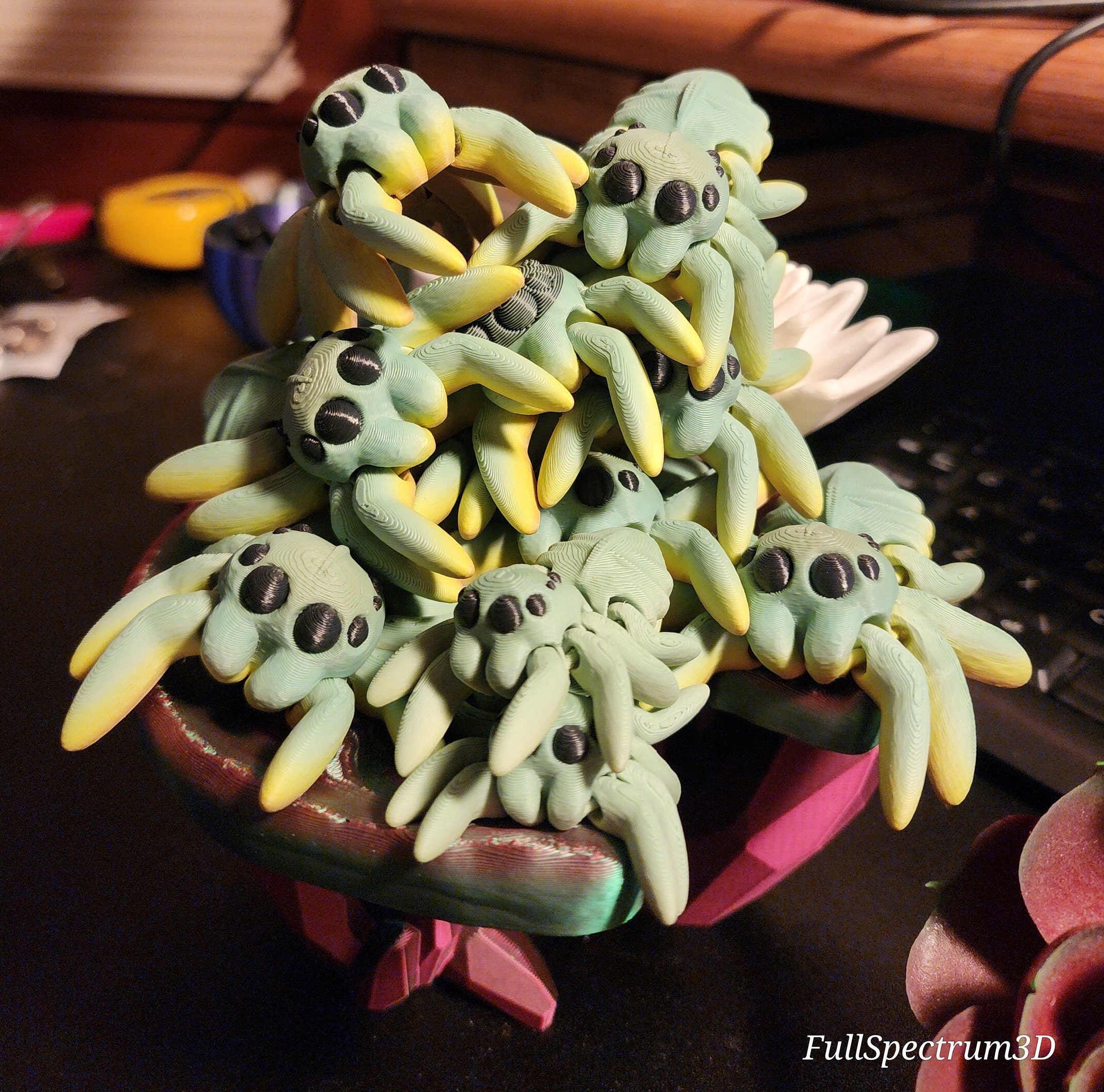 Spider Fidget Indoor Plant Friend - Etsy