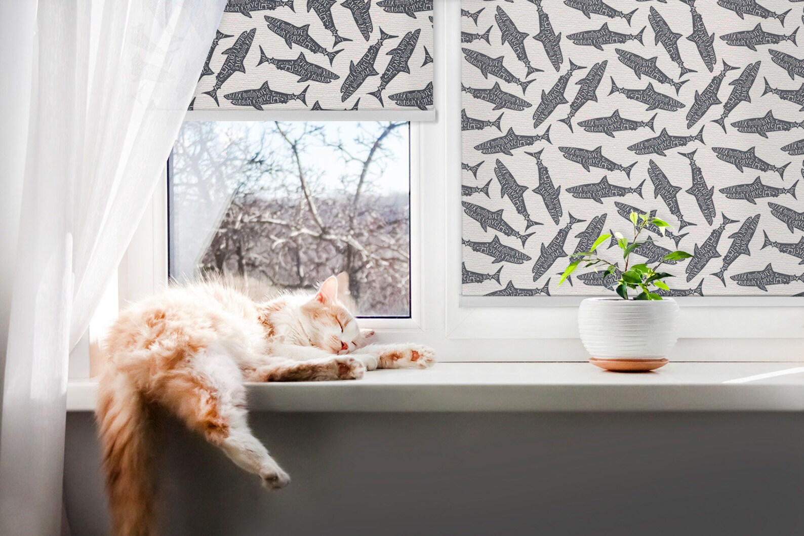 Blinds, Light Diffusing and Room Darkening, Sharks, Black and White ...