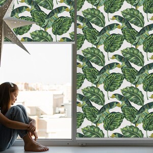 Blinds, Light Diffusing and Room Darkening, Classic Leaves, Green and ...