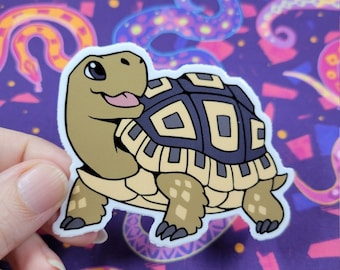 Tortoise Sticker - Etsy