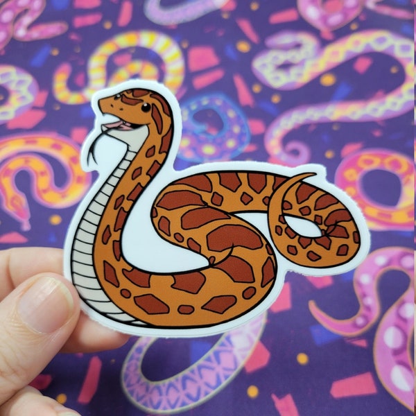 Albino Snake - Etsy