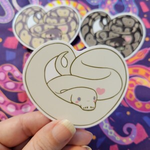 Ball Python Sticker - Etsy