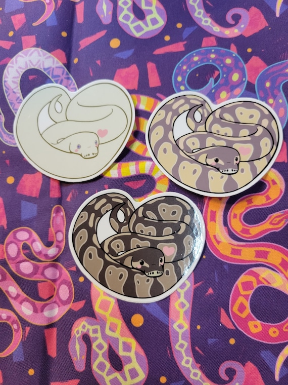 Ball Python Sticker - Etsy
