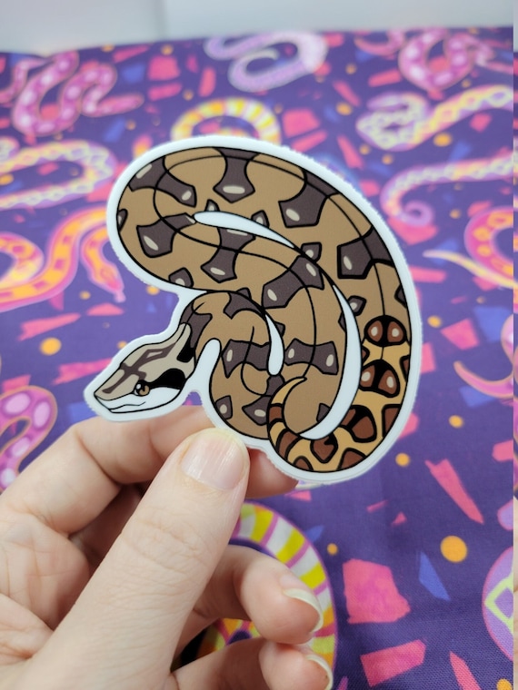 Boa Constrictor Sticker - Etsy