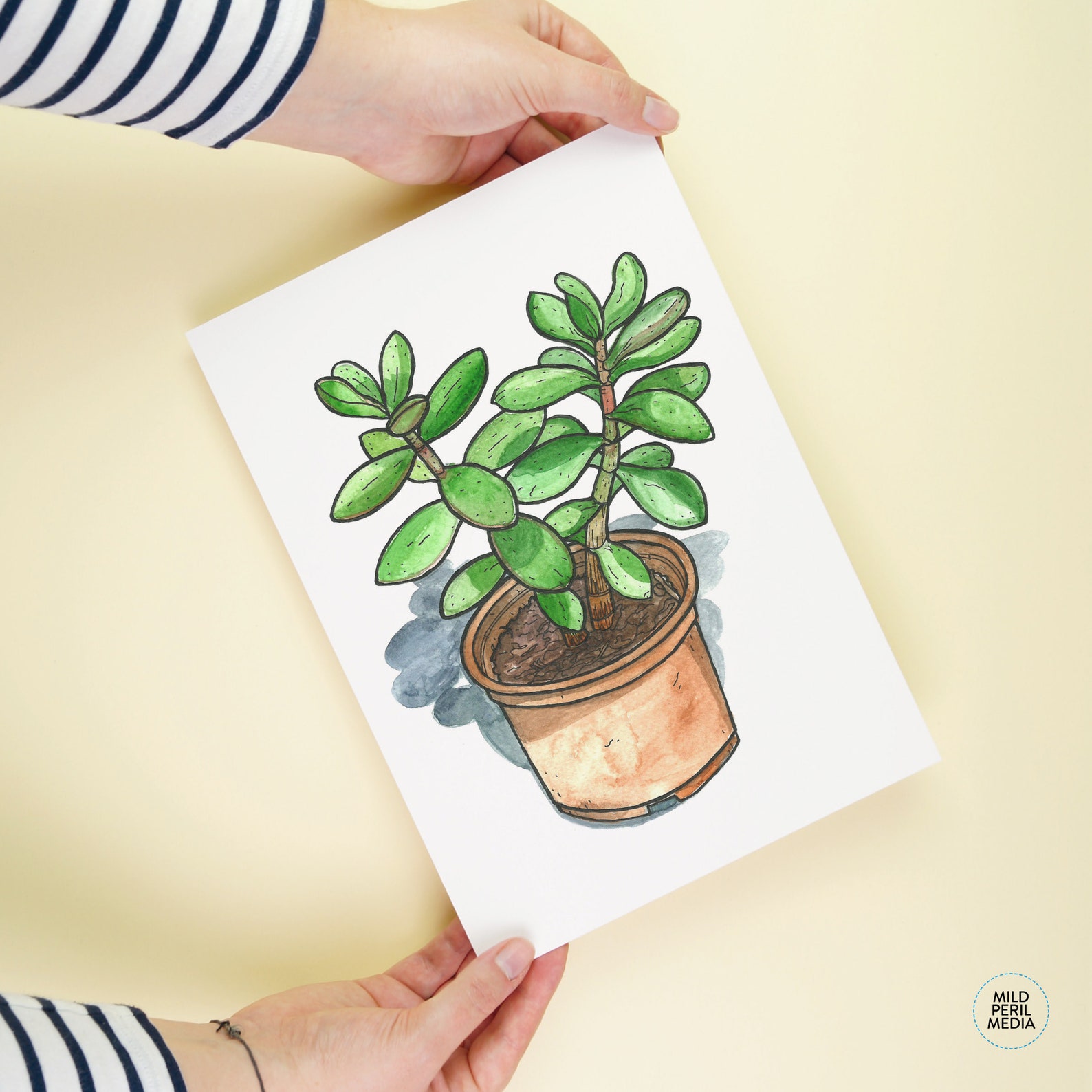 Jade Tree Plant Print | Money Tree | Cactus Print | Botanical Print ...