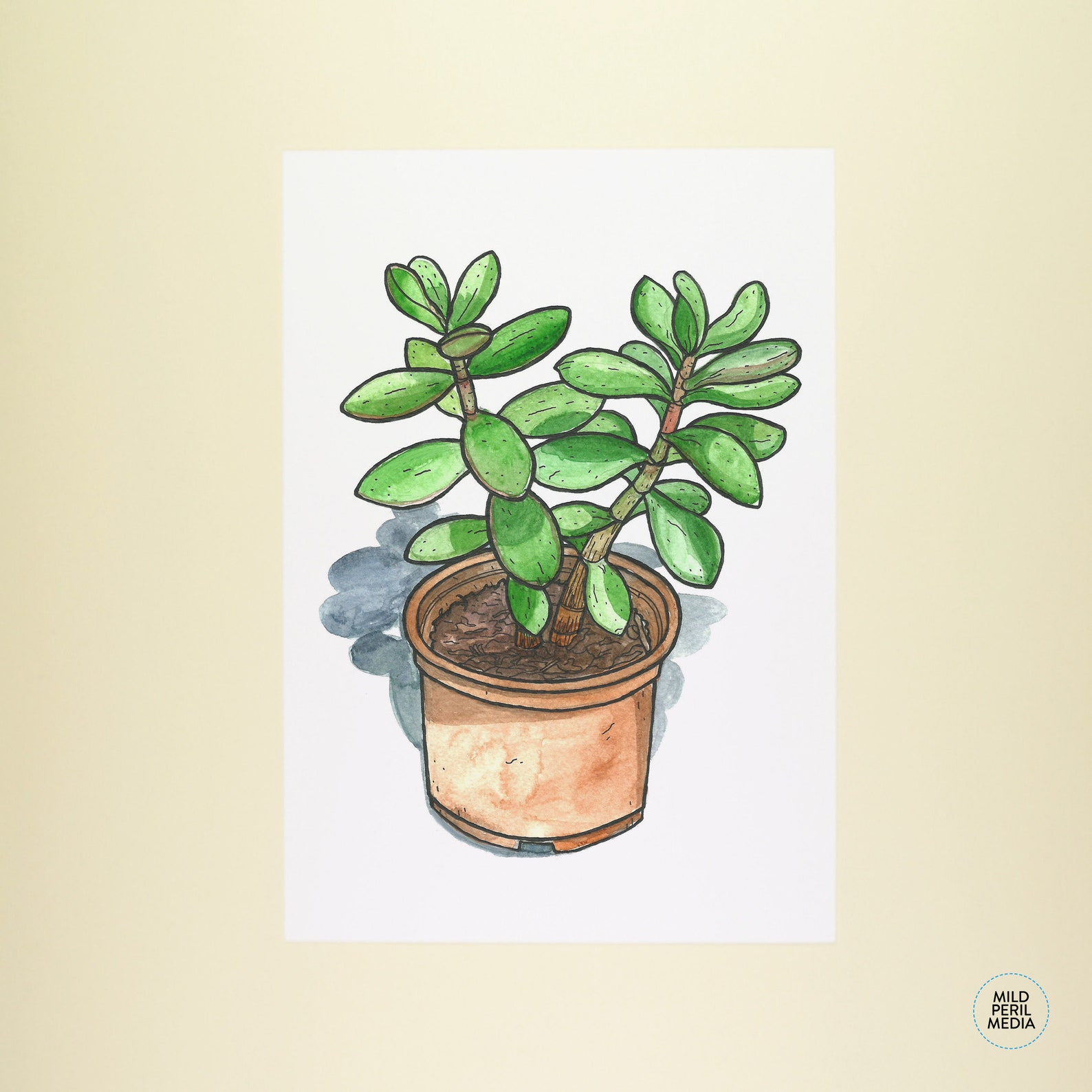 Jade Tree Plant Print | Money Tree | Cactus Print | Botanical Print ...