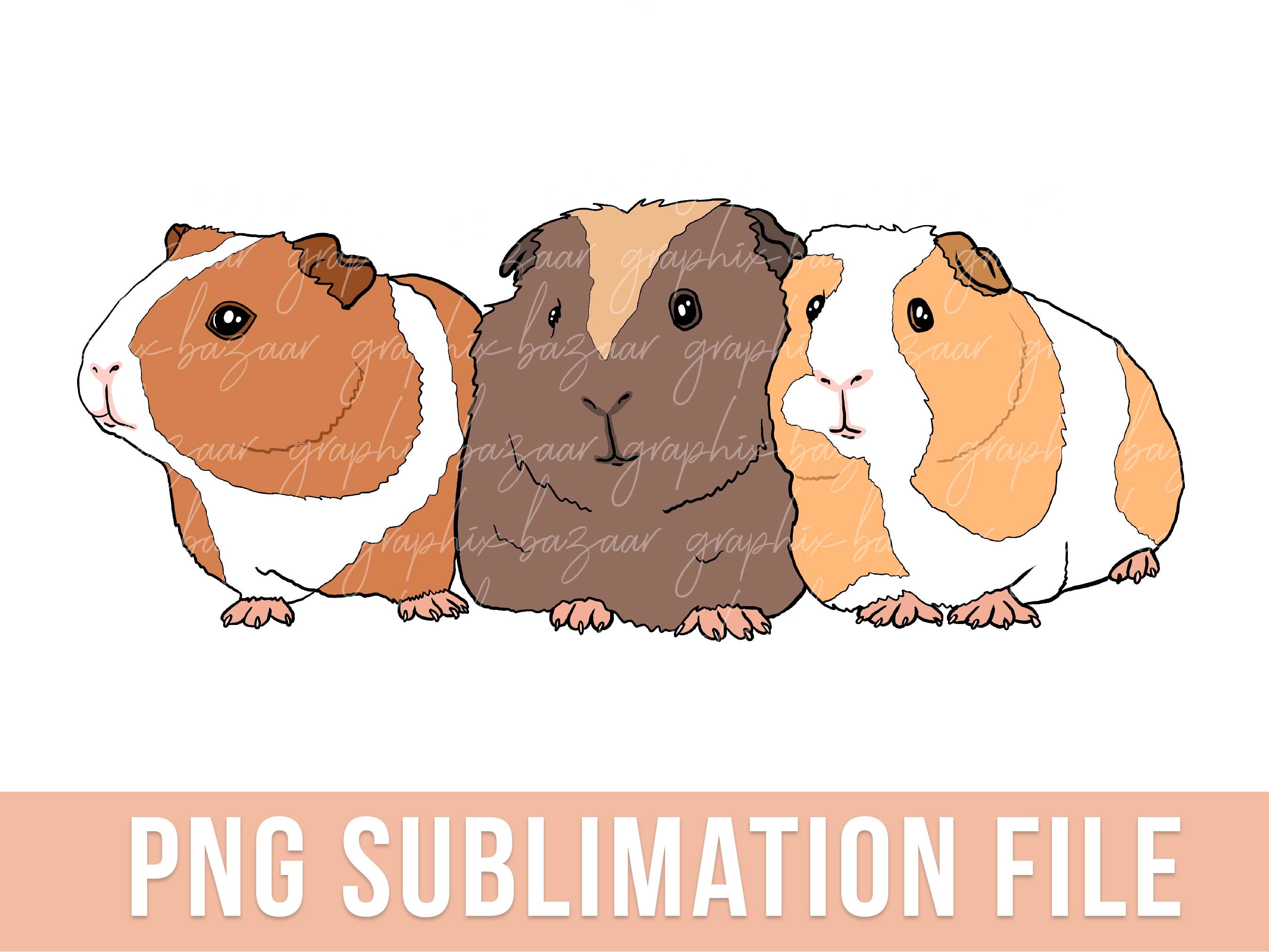 3 Guinea Pig Drawing PNG Boho Guinea Pigs Sublimation File - Etsy
