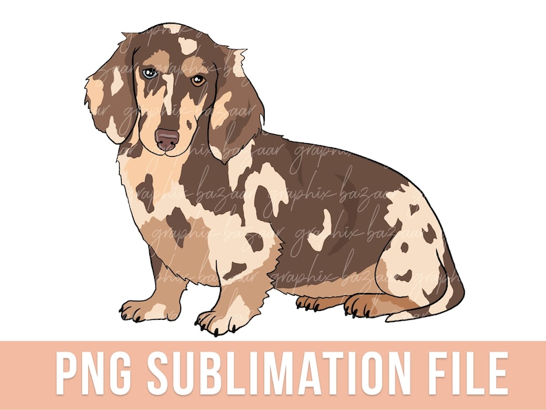 Dapple Dachshund Drawing PNG Dapple Doxie Sublimation File - Etsy