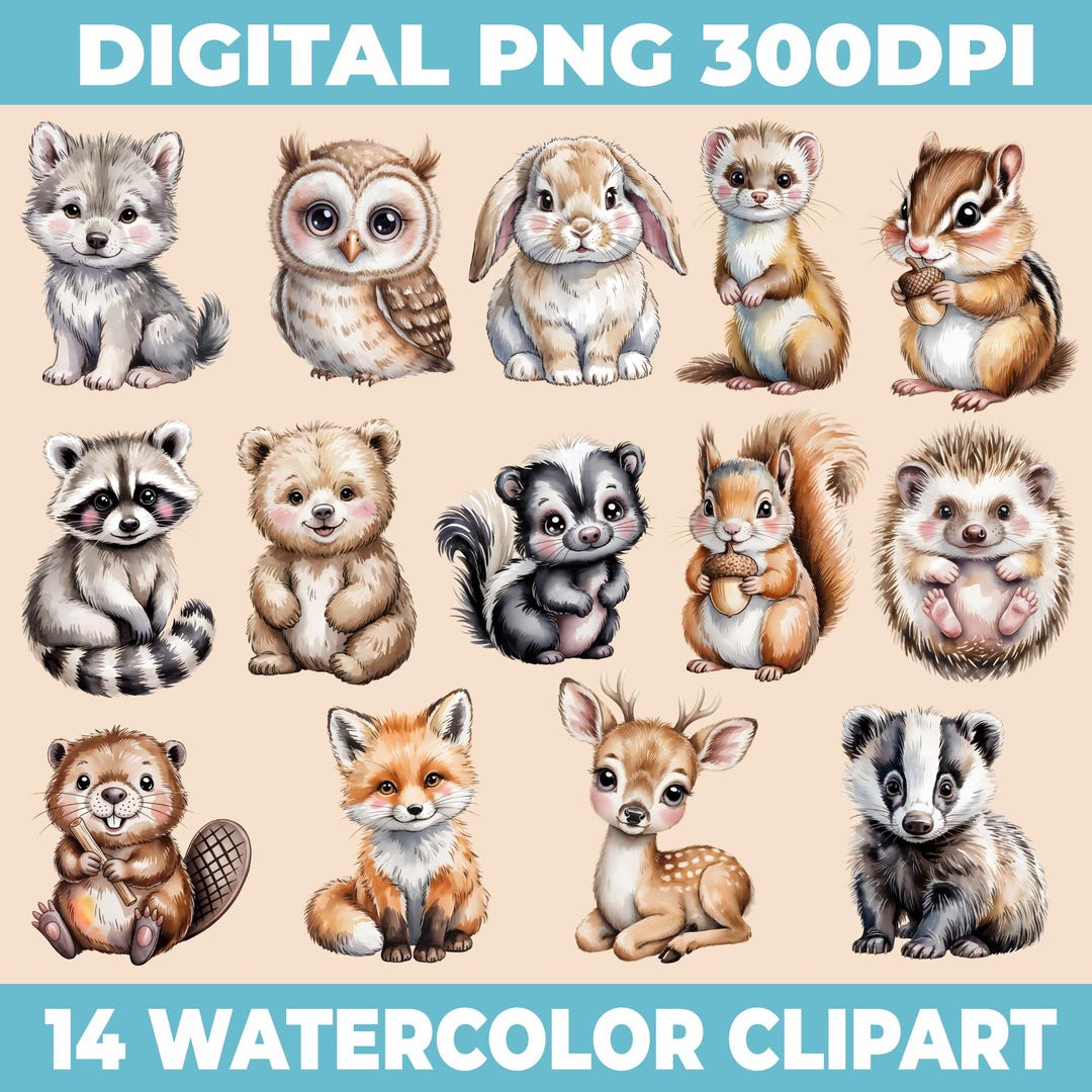 Watercolor Woodland Animals Clipart Pack 14 High Resolution Forest ...