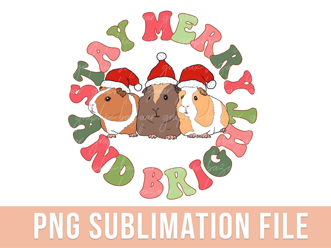 Stay Merry and Bright PNG Guinea Pig Christmas PNG X-mas Guinea Pigs ...