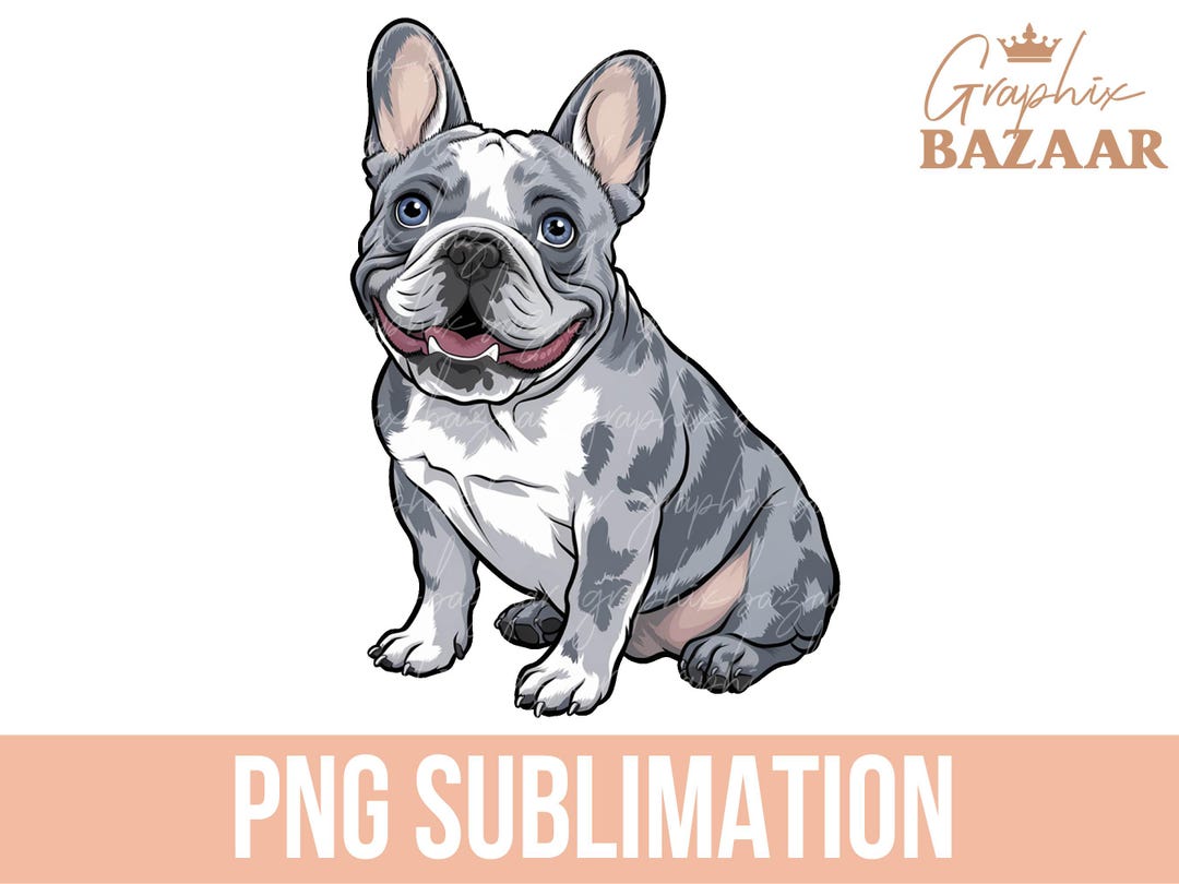 Blue Merle French Bulldog Clipart Blue Merle Frenchie Sublimation ...