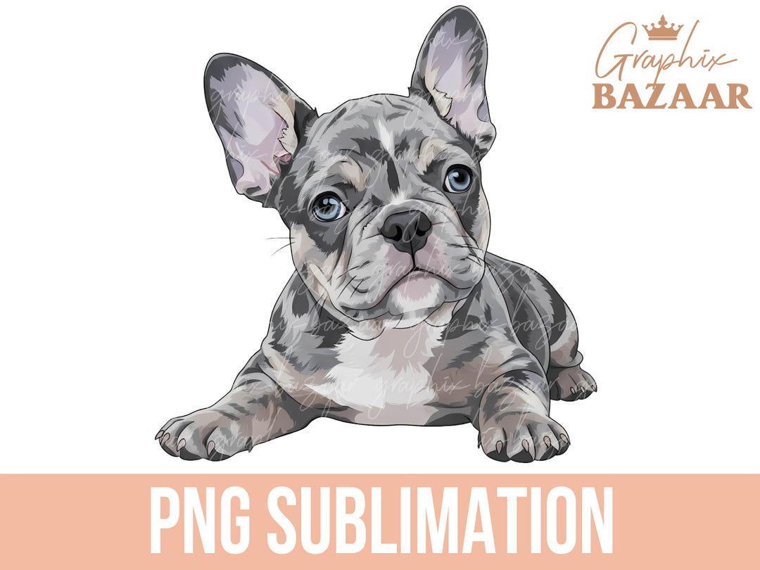 Blue Merle French Bulldog Puppy Clipart Blue Merle Frenchie Sublimation ...