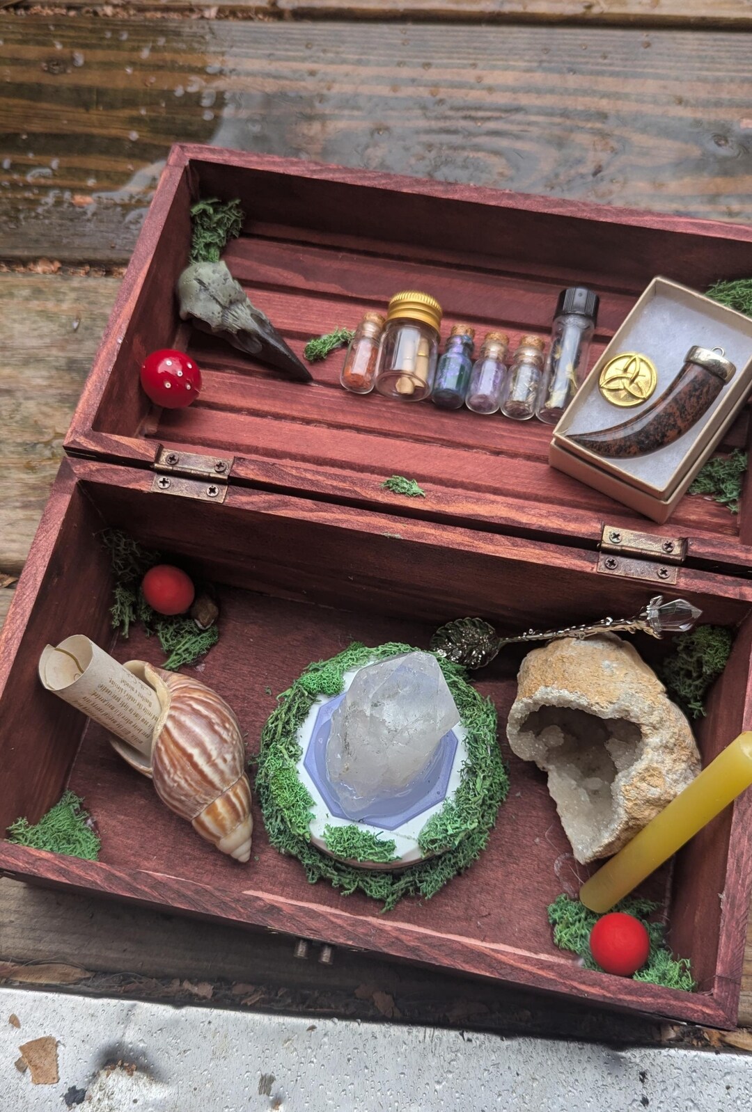 Mushroom Themed Crystal Light up Chest, Faux Alchemy Kit, RP LARP Dnd ...