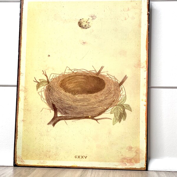 Tin With Birds - Etsy