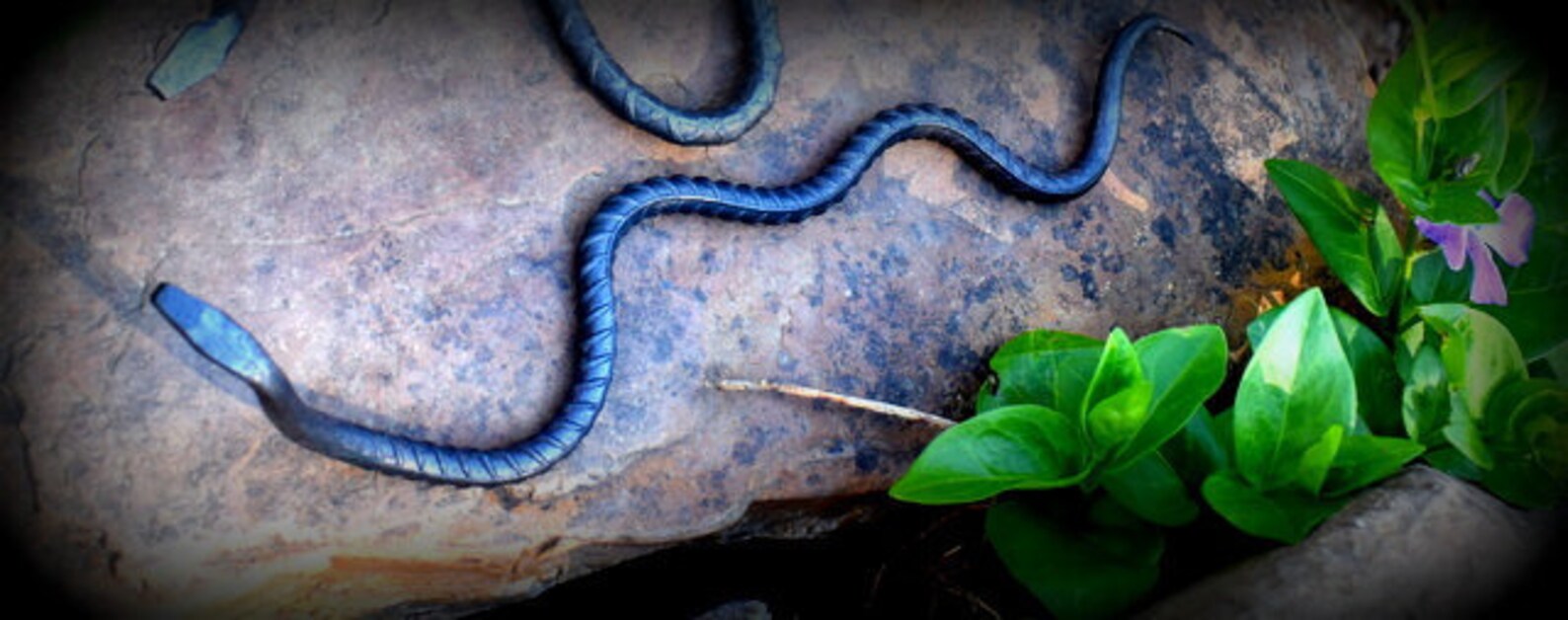 Hand Forged Rebar Snake Your Choice of Style - Etsy
