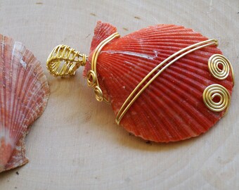 Sea shell wire wrap | Etsy