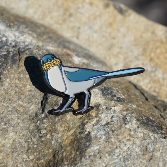 Scrub Jay Enamel Pin - Etsy
