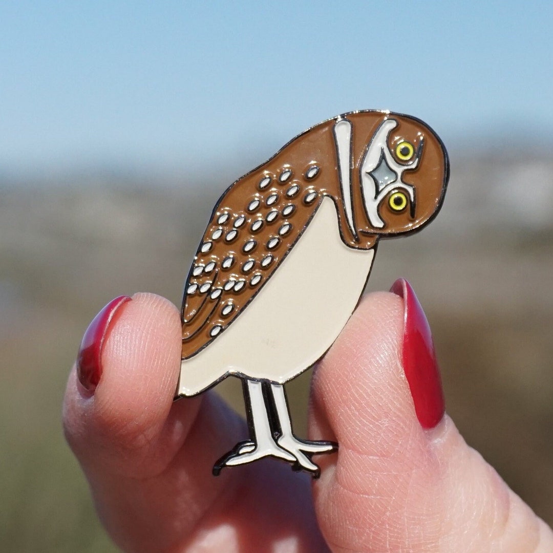 Burrowing Owl Pin - Etsy