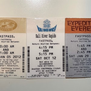 Fastpass Sticker, Hydroflask Sticker, Scrapbook Sticker, Ride Stickers ...