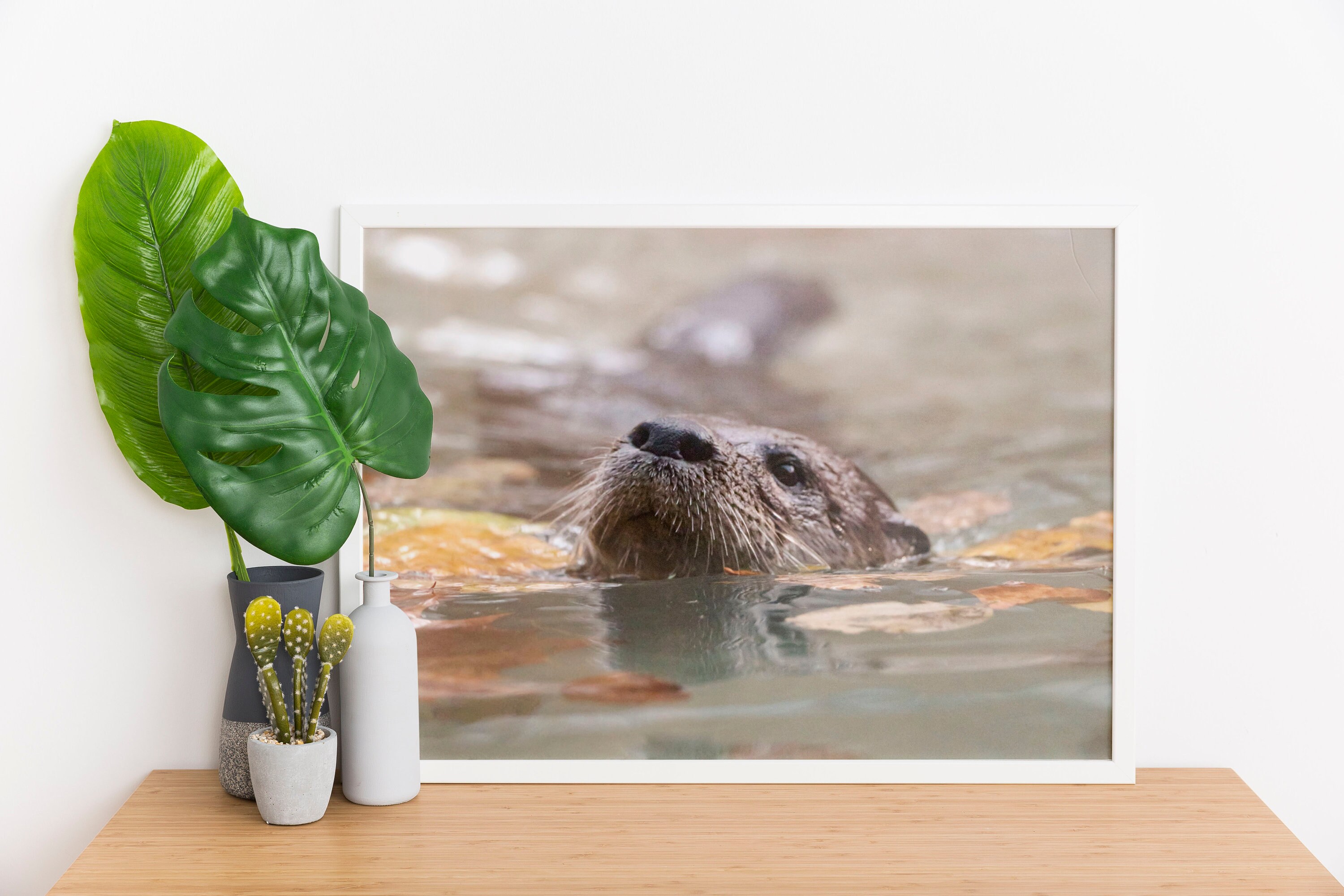 Otter Wall Art / Nature Photography Print / Digital Photography ...