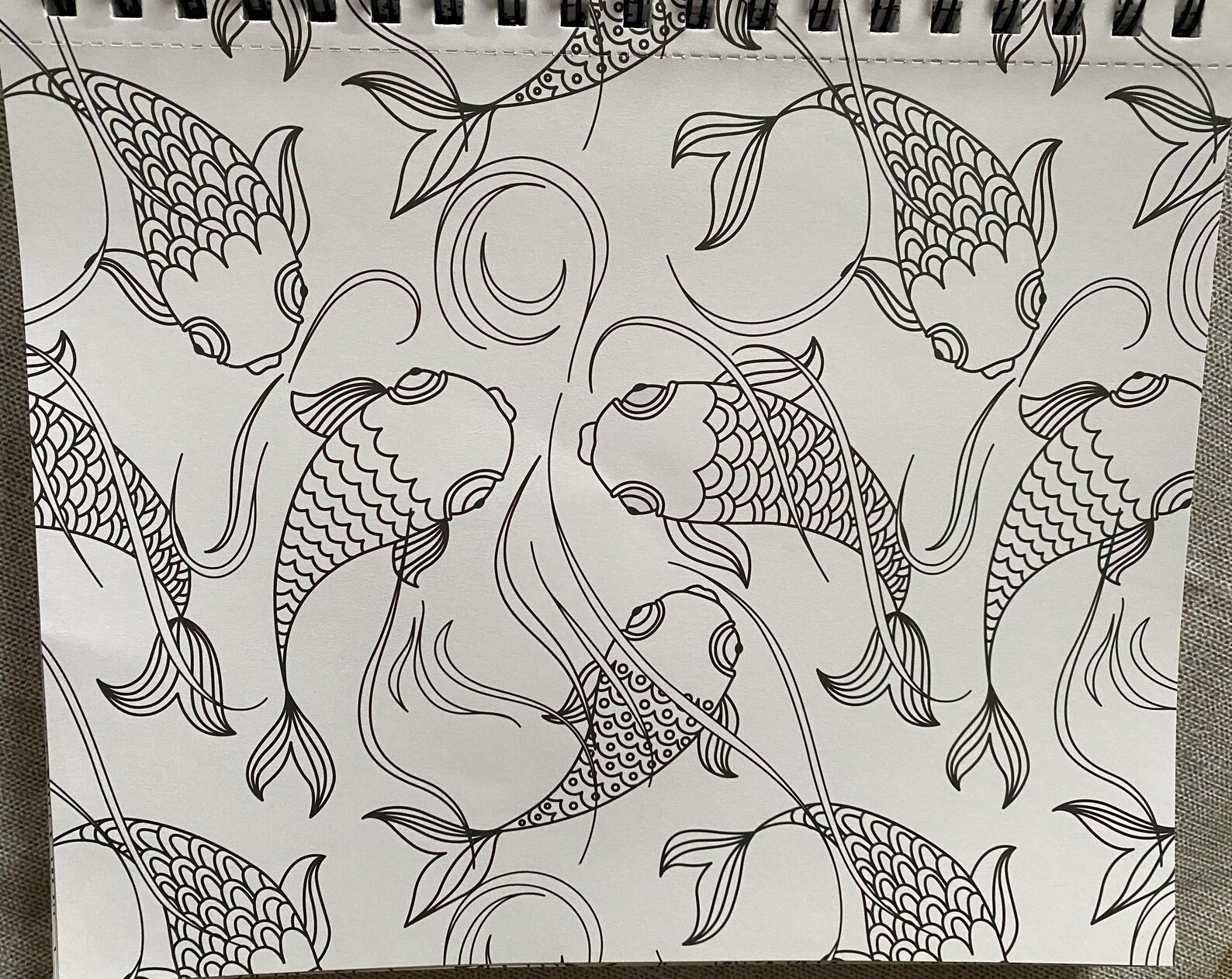 Simple 1-2-3 Color and Frame Coloring Book, Coloring Book, Nature ...