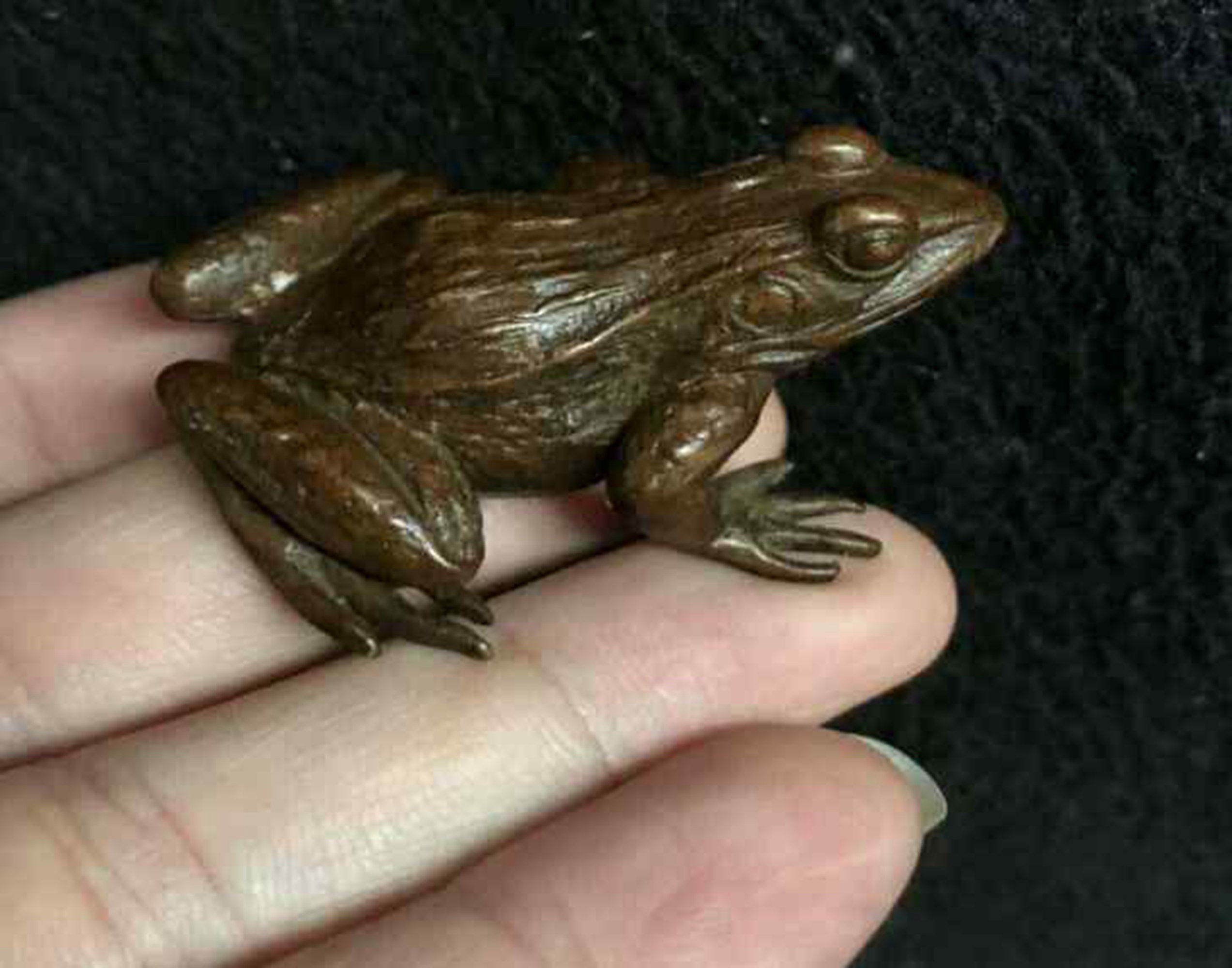 Solid Brass Hand Carved Frog Statue Home Decoration - Etsy Australia