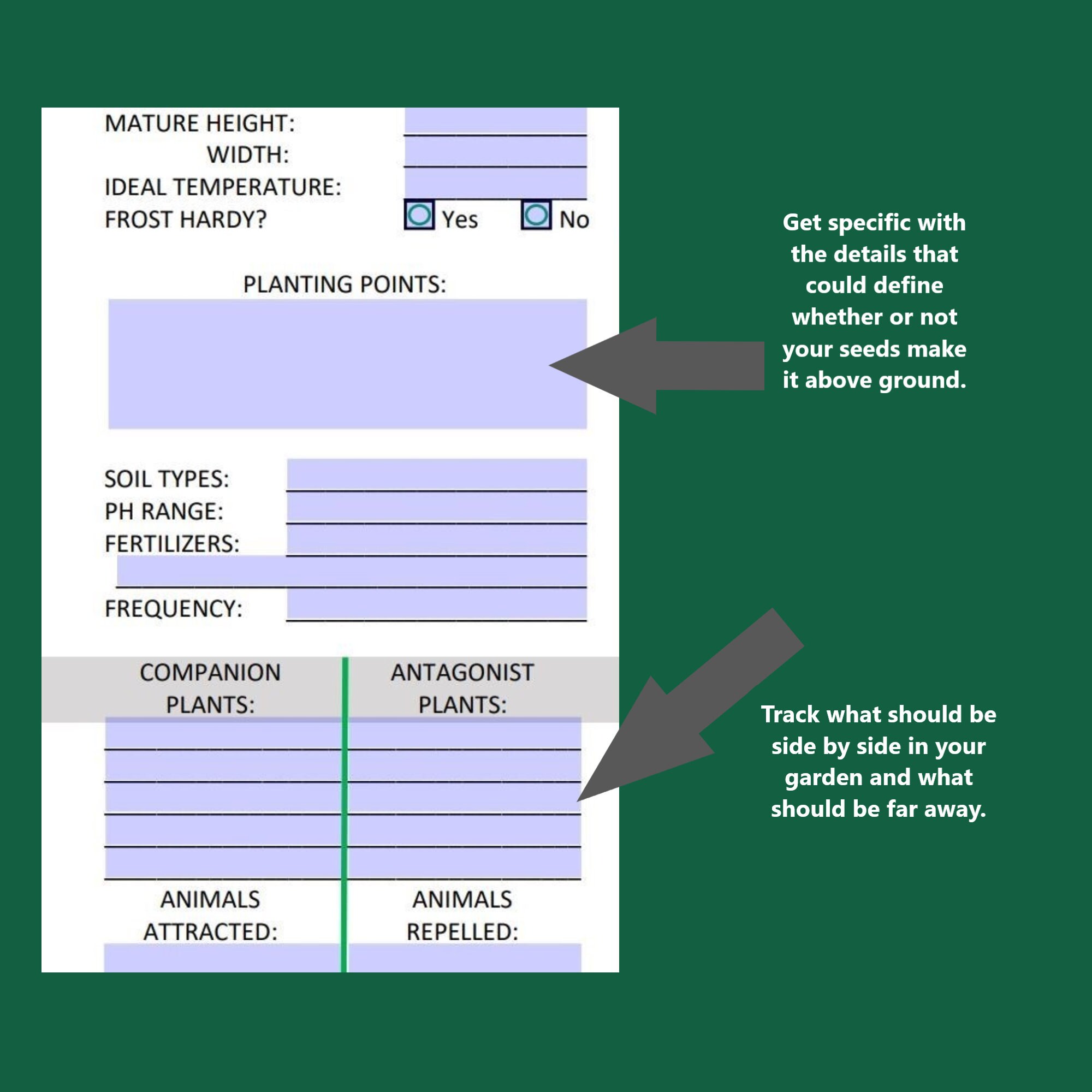 Garden Plant Information Sheet - Etsy
