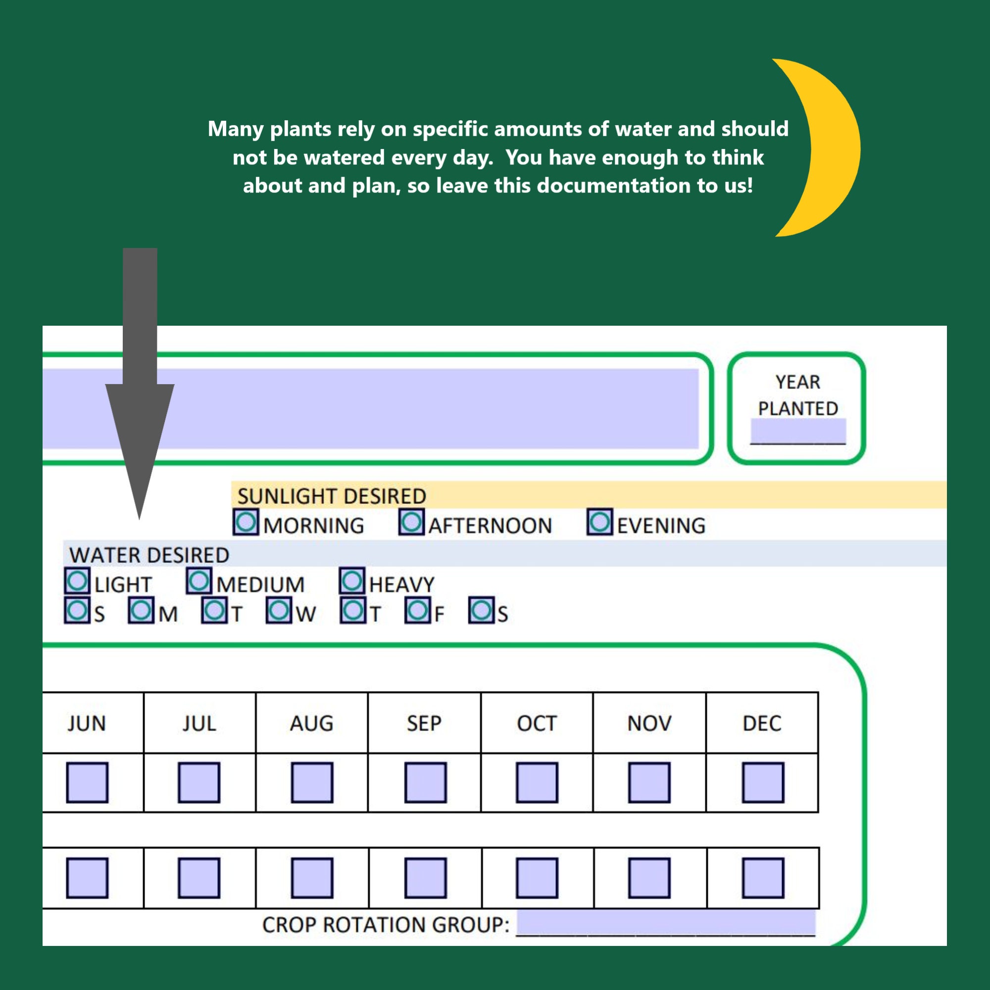 Garden Plant Information Sheet - Etsy