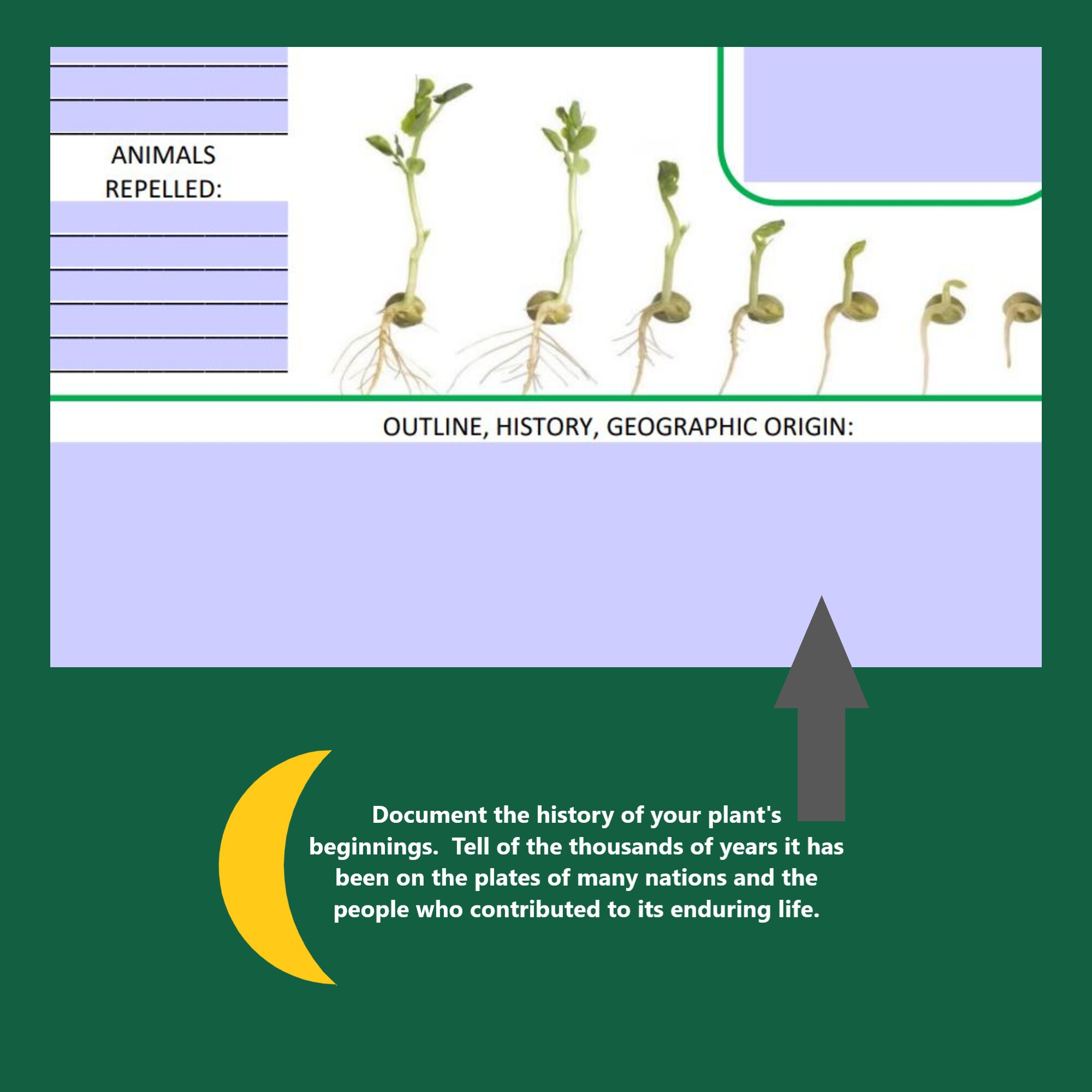 Garden Plant Information Sheet - Etsy