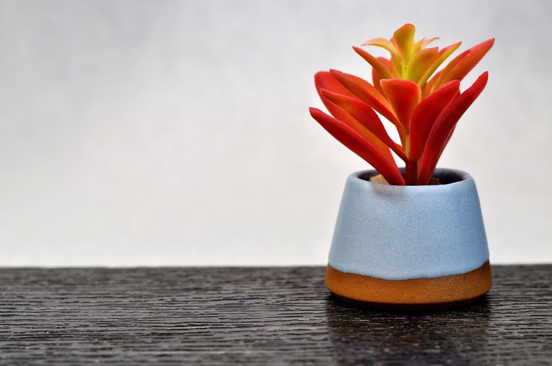 Matchstick Holder | Succulent Pot | Toothpick Holder | Succulent Holder ...