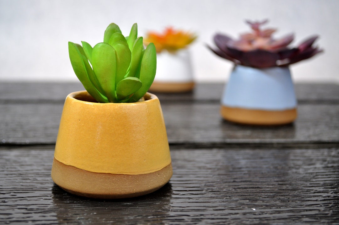Matchstick Holder | Succulent Holder | Toothpick Holder | Succulent Pot ...