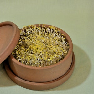 Farmhouse Sprouter | Terra Cotta Microgreen Sprouter | Modern Rustic ...