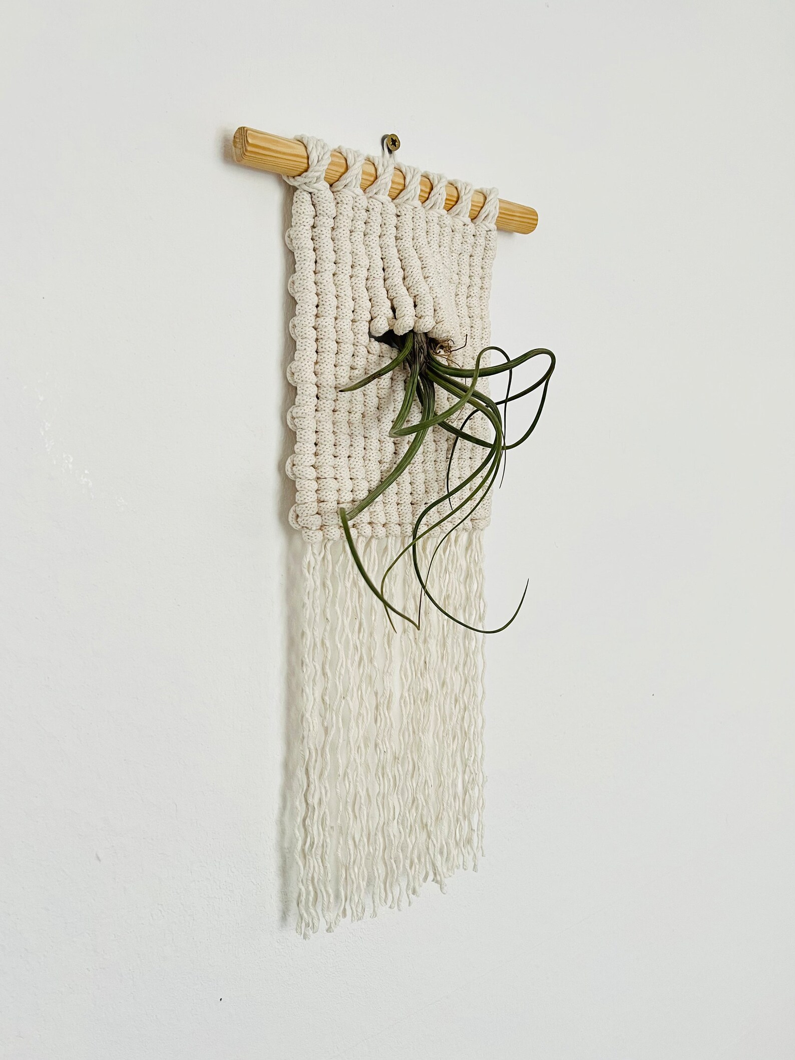 SET of 2 Macrame Air Plant Holders PDF Patterns Macrame Plant - Etsy