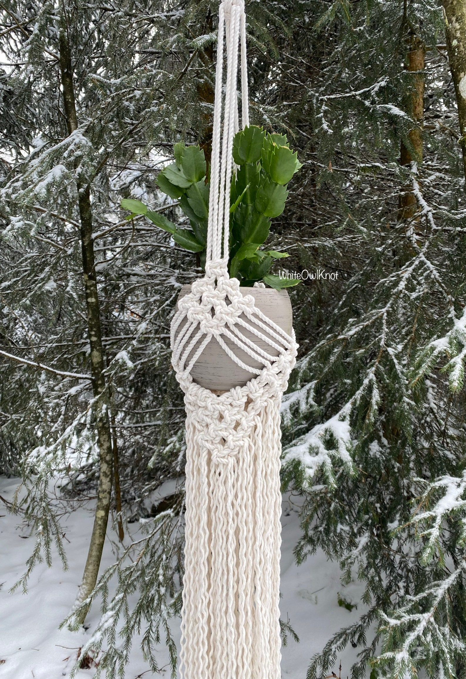 PDF Pattern Macrame Plant Hanger Rhombus Plant Hanger DIY - Etsy