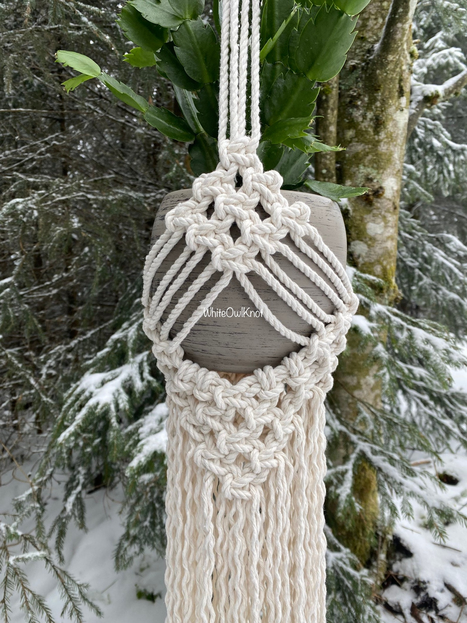 PDF Pattern Macrame Plant Hanger Rhombus Plant Hanger DIY - Etsy