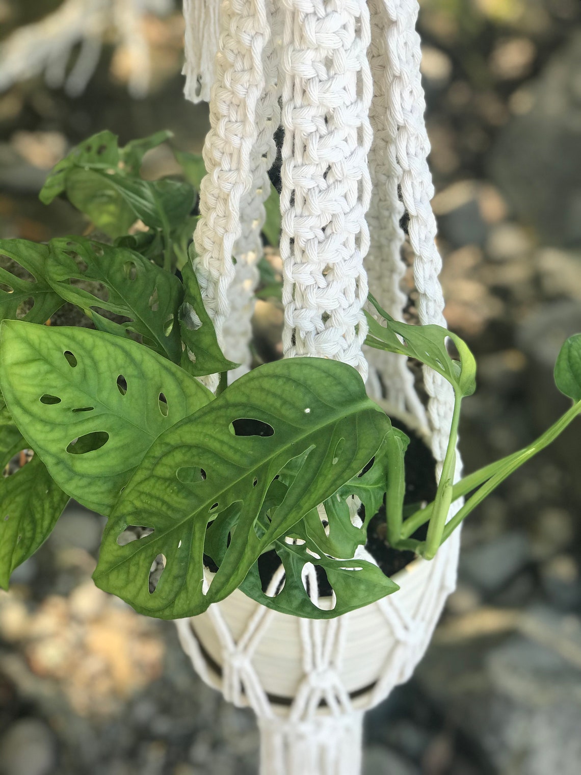 Modern Macrame Plant Hanger on Vintage 70s Pattern, Instant Download ...