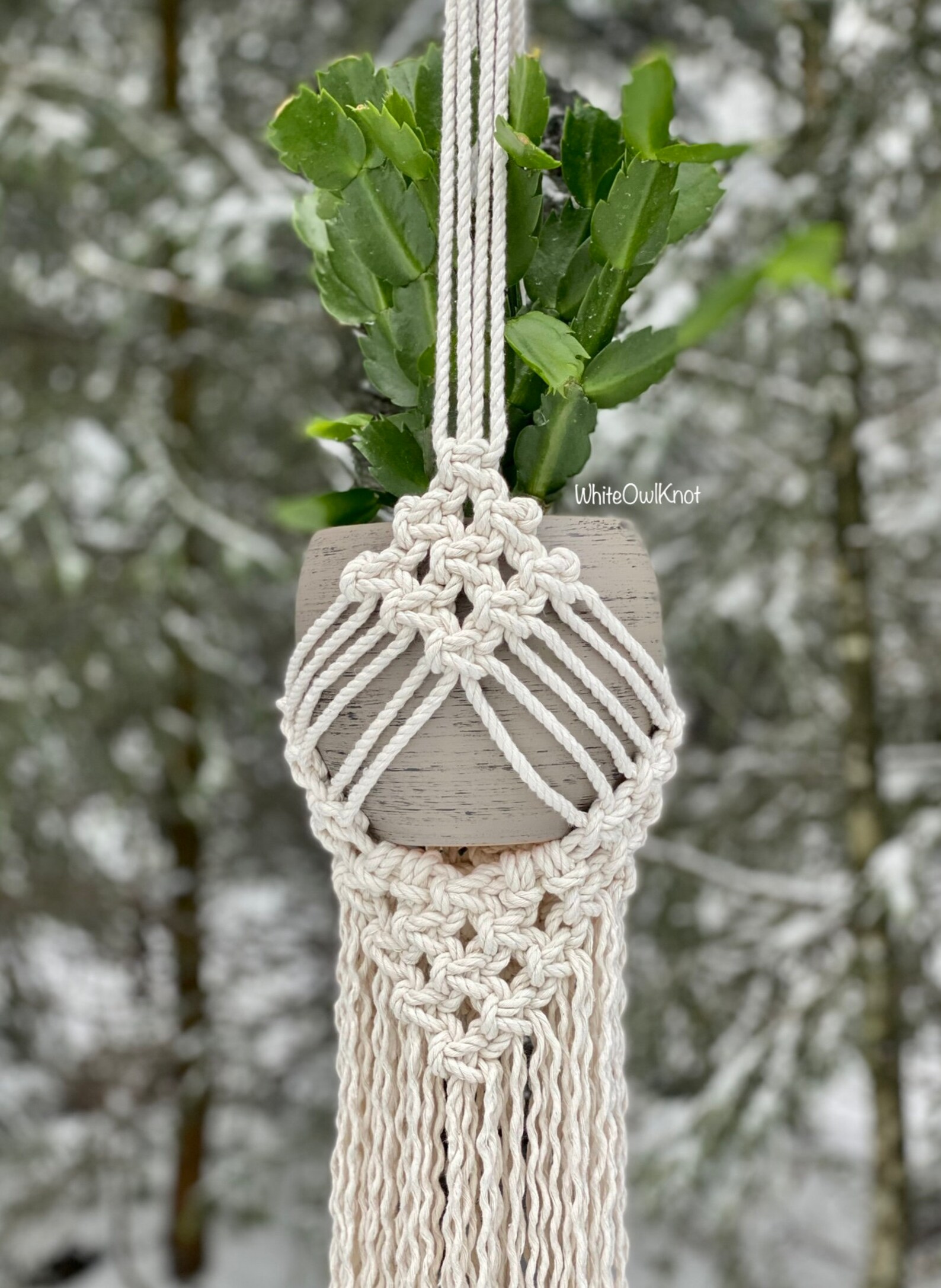PDF Pattern Macrame Plant Hanger Rhombus Plant Hanger DIY - Etsy