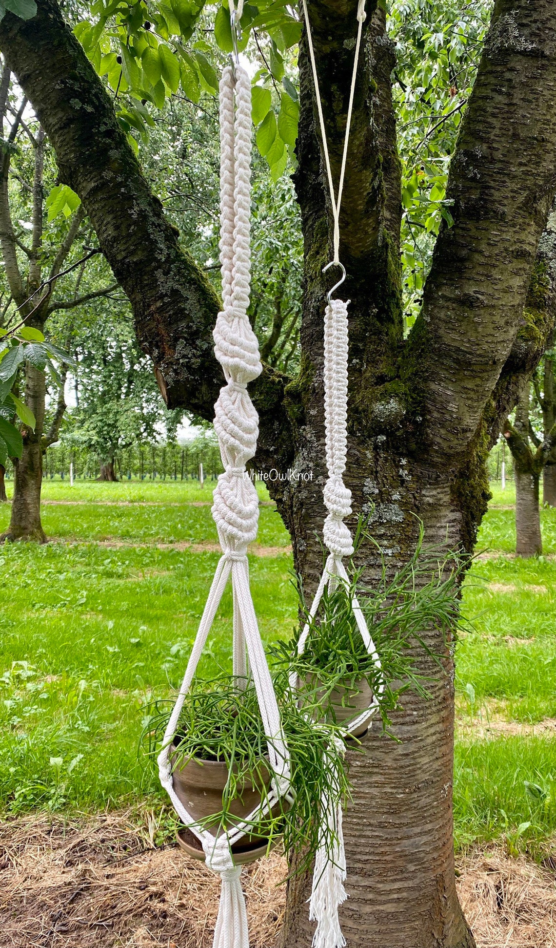 DIY Macrame Plant Hanger PDF Pattern Shells Hanging Planter - Etsy