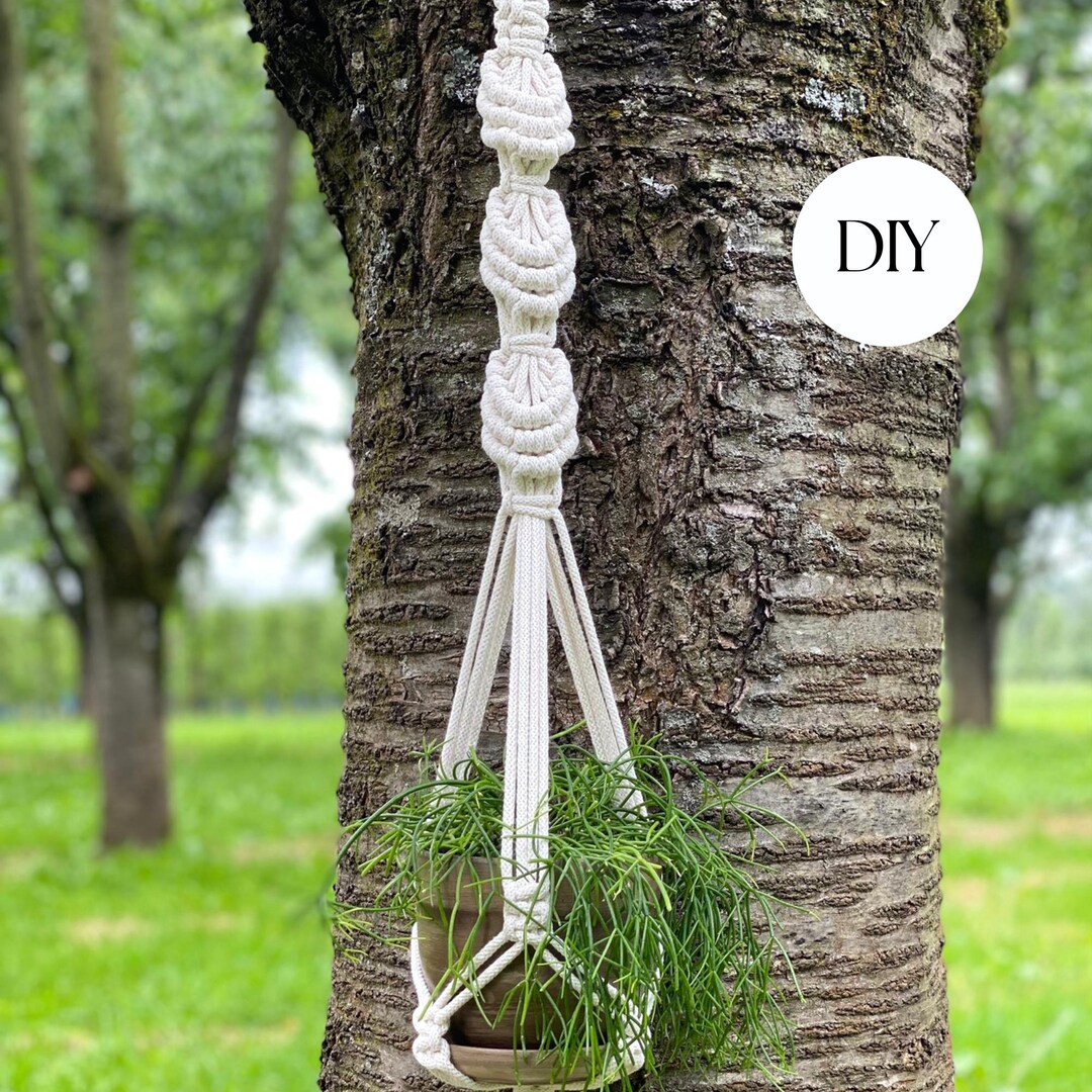 DIY Macrame Plant Hanger PDF Pattern, Shells Hanging Planter Tutorial ...