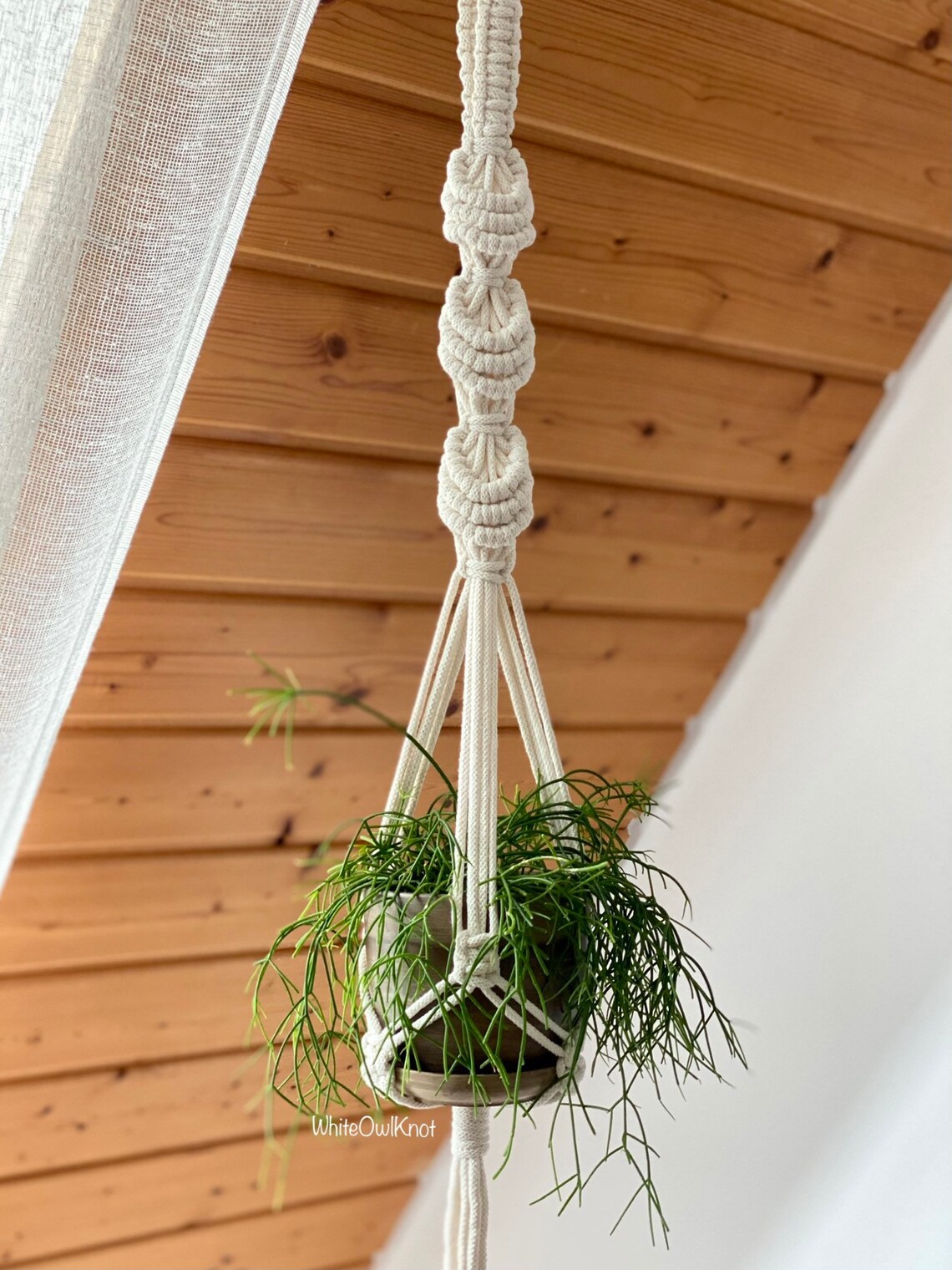 DIY Macrame Plant Hanger PDF Pattern Shells Hanging Planter | Etsy