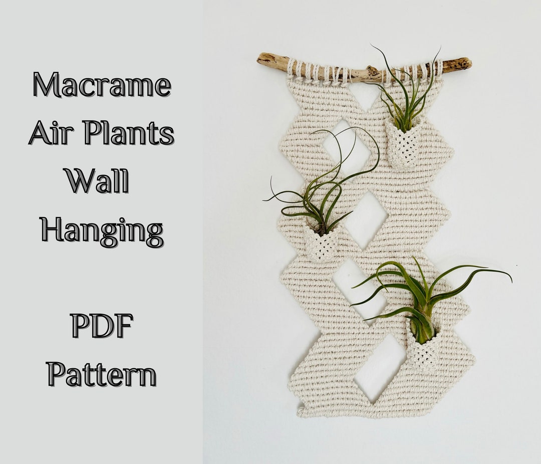 Macrame Wall Hanging PDF Pattern Air Plant Terrarium Plant - Etsy