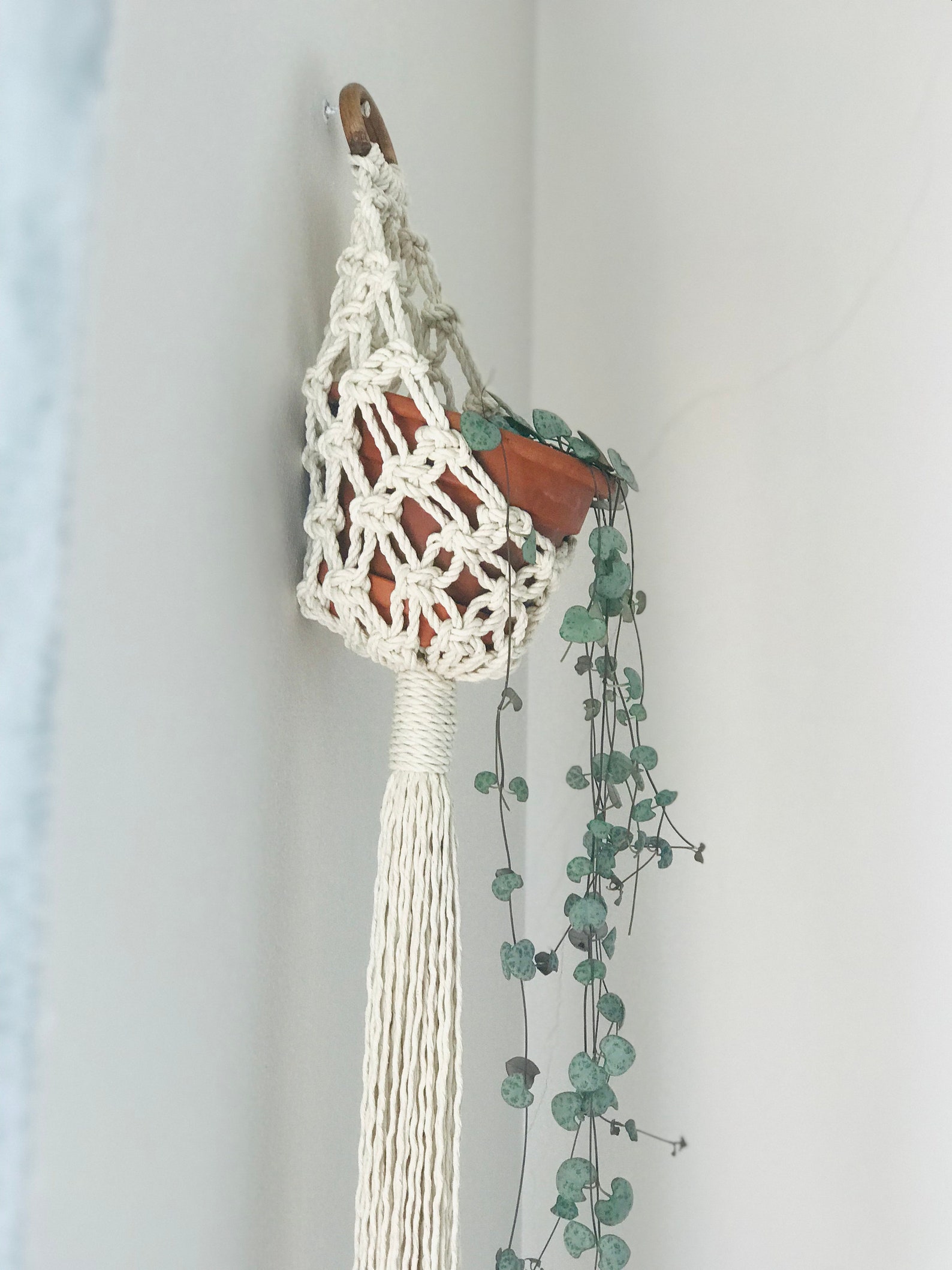 PDF Pattern Macrame Pod Planter Macrame Plant Hanger - Etsy