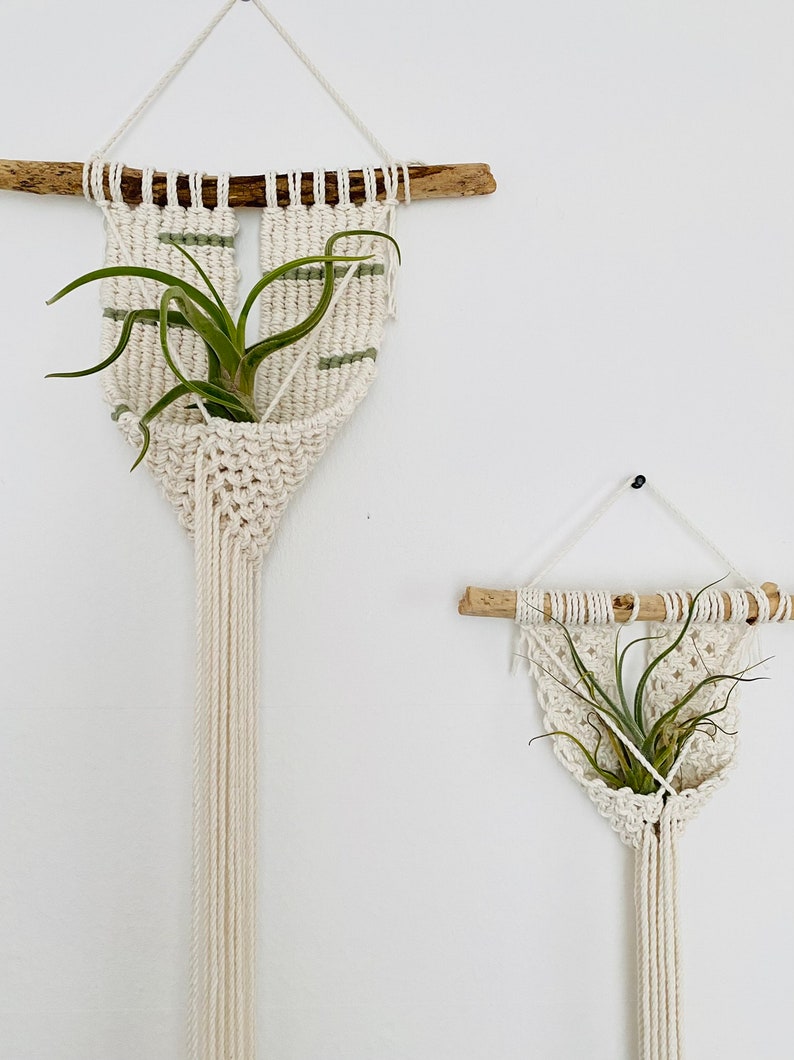 PDF Macrame Air Plant Display Pattern Macrame Plant Hanger - Etsy